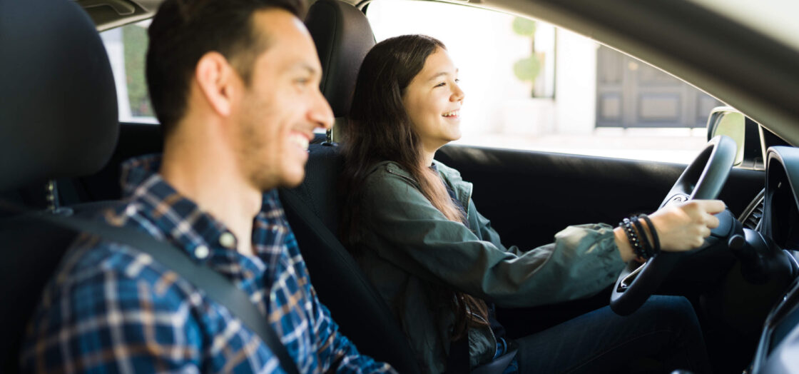 Ediser driving simulation references